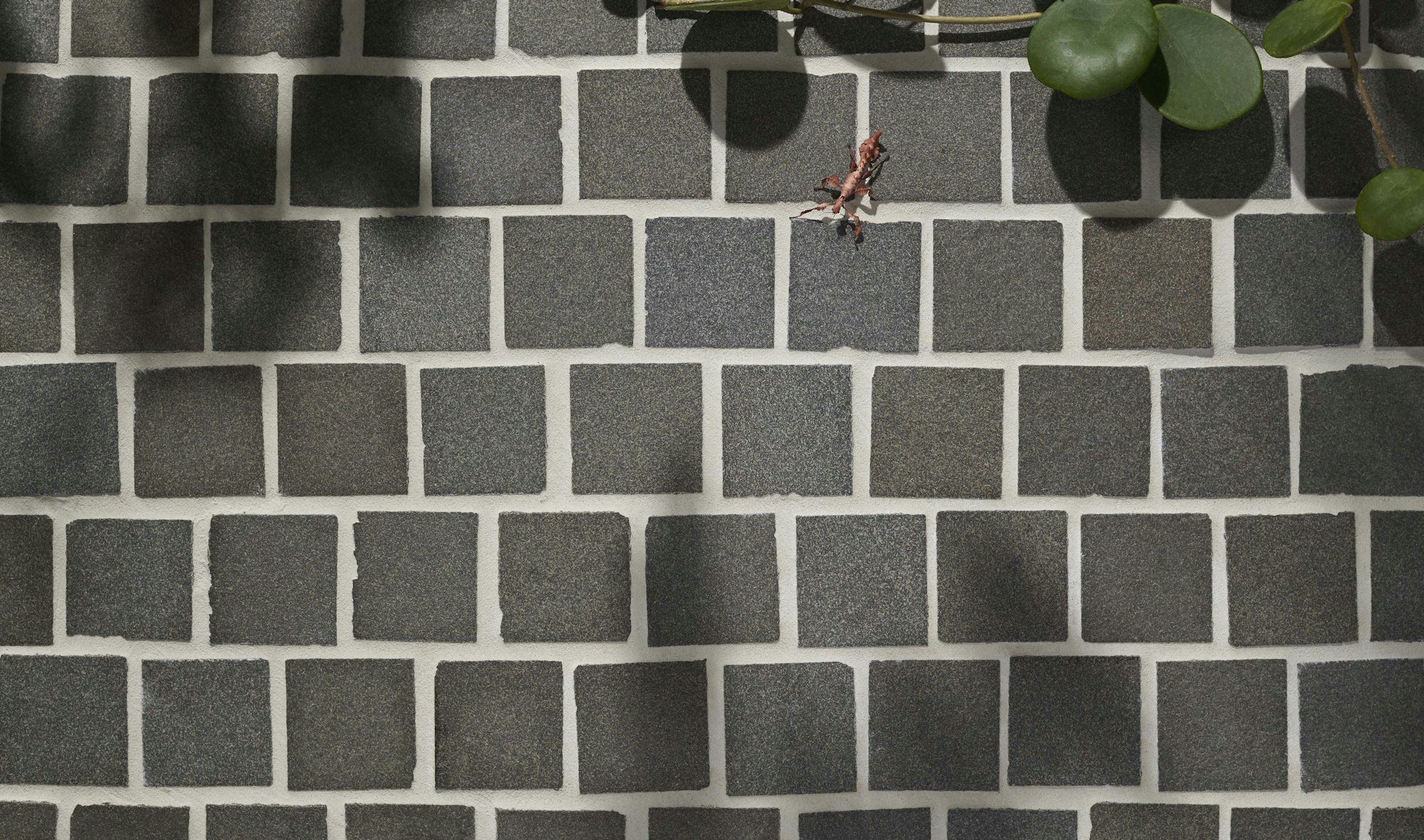 Artisan Exterior | Arkkia Cube Split Loose Cobblestones