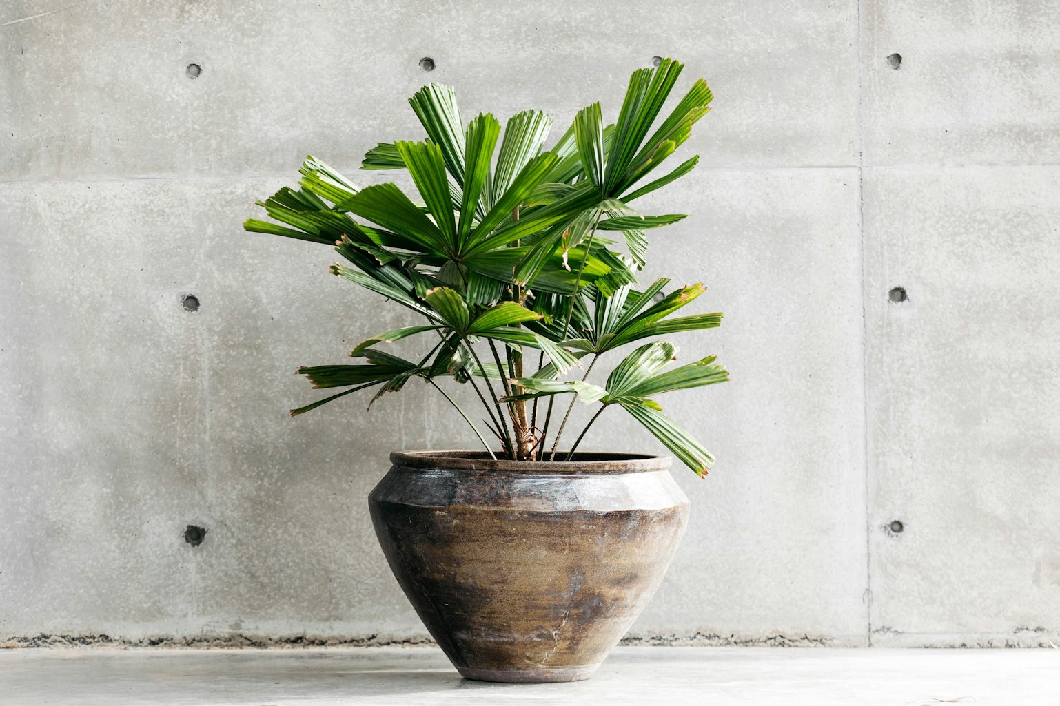 Artisan Exterior | Landare Correa Traditional Clay Pots