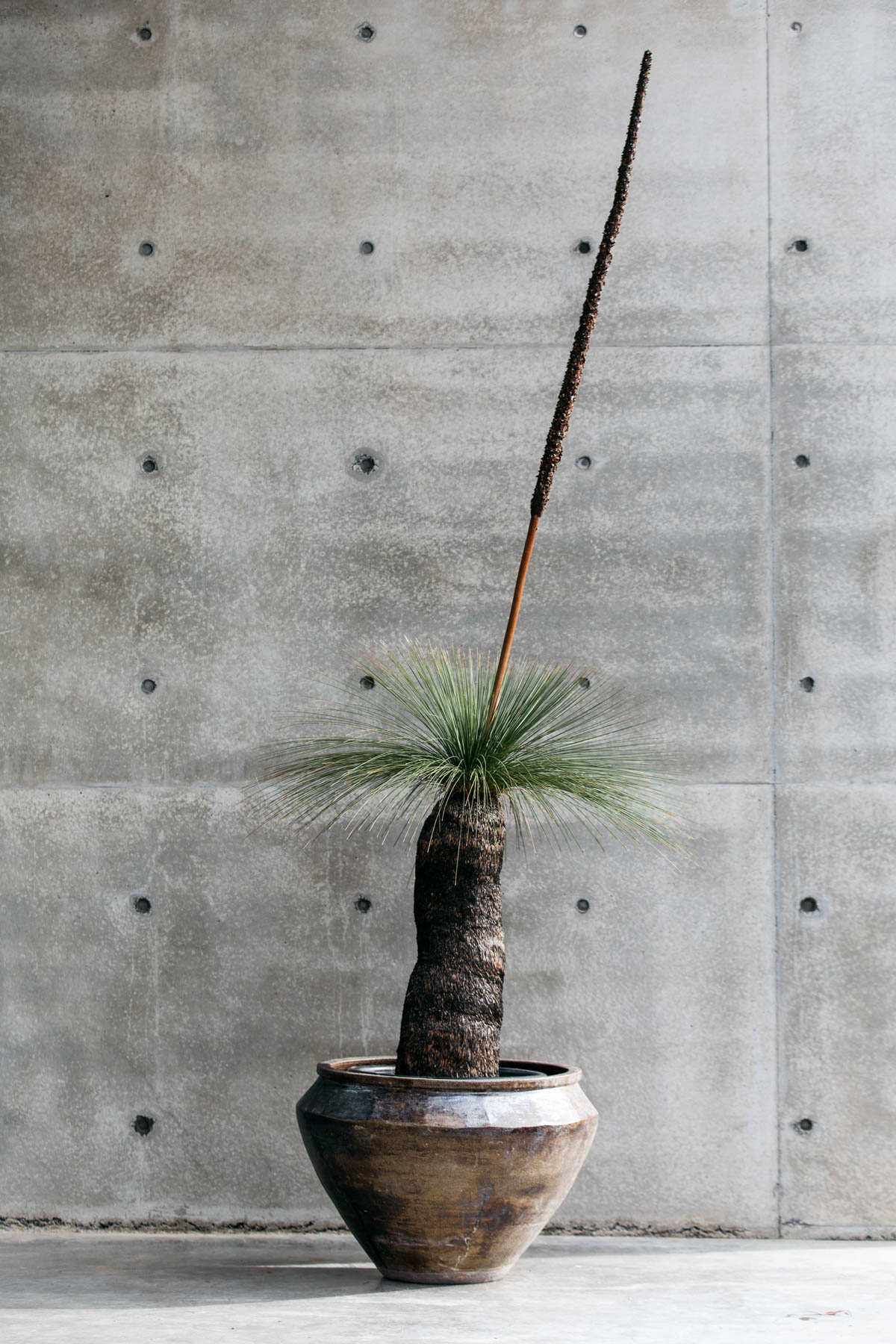 Artisan Exterior | Landare Correa Traditional Clay Pots