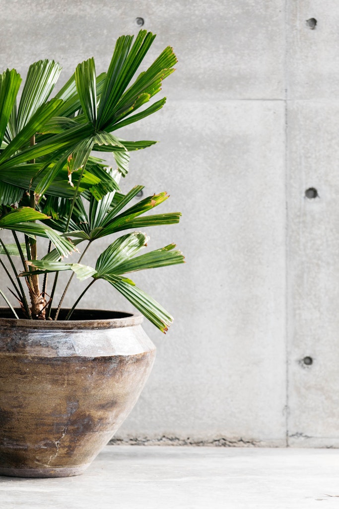 Artisan Exterior | Landare Correa Traditional Clay Pots