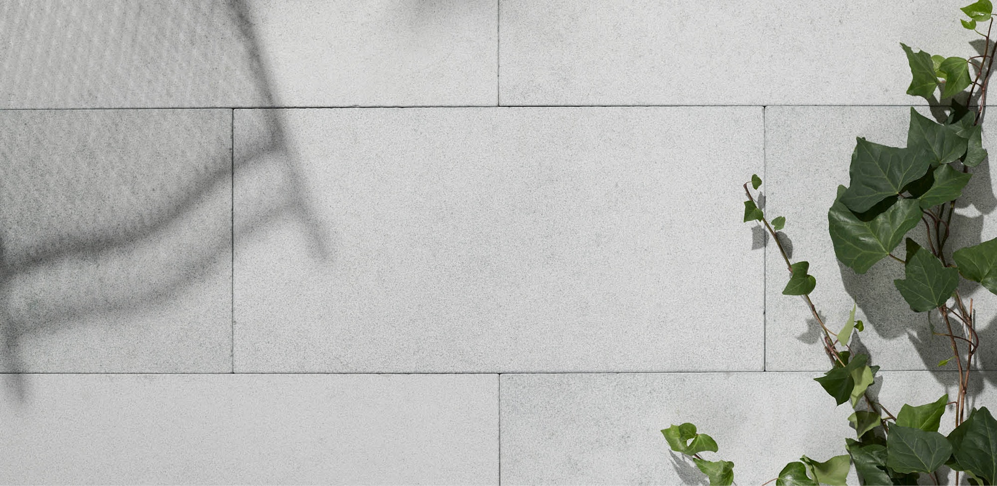 Artisan Exterior | Olive Limestone Pavers, Tiles & Coping