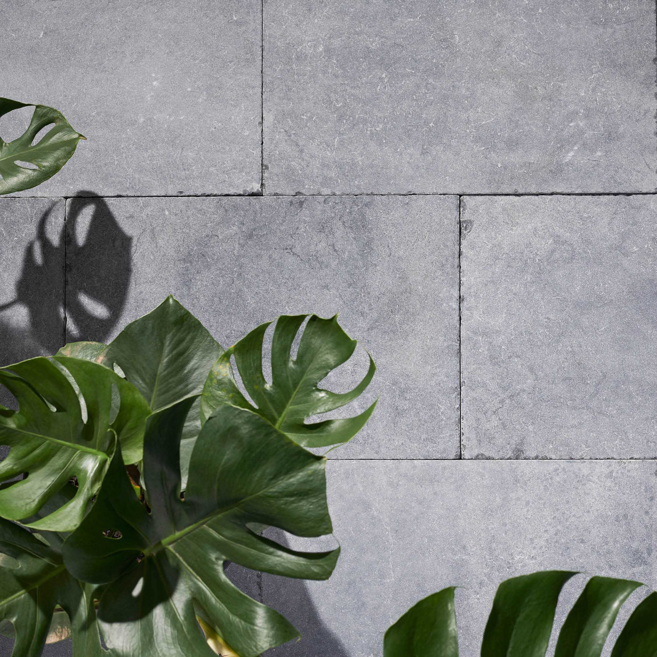 Artisan Exterior | Pantera Marble Pavers, Tiles & Coping