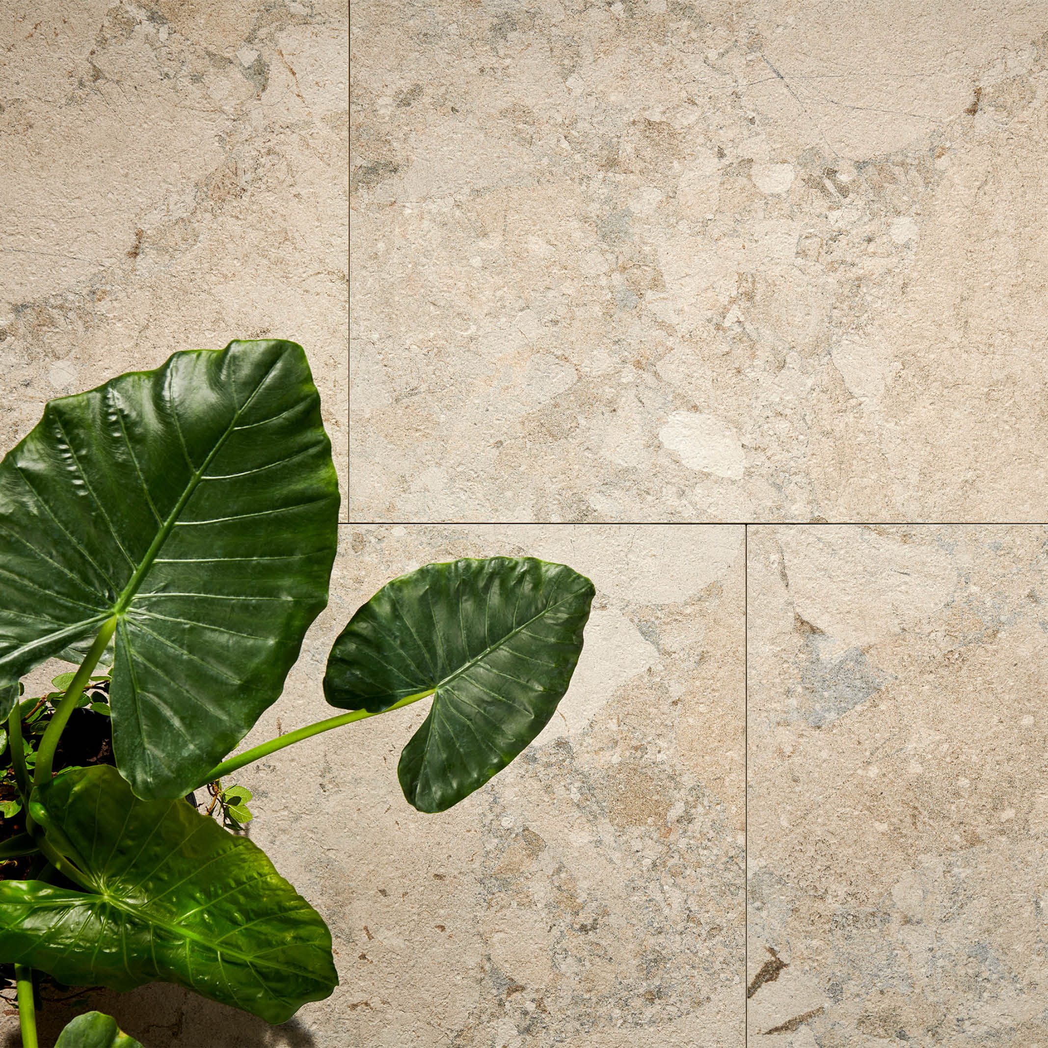 Aon Italian Porcelain Pavers | Artisan Exterior