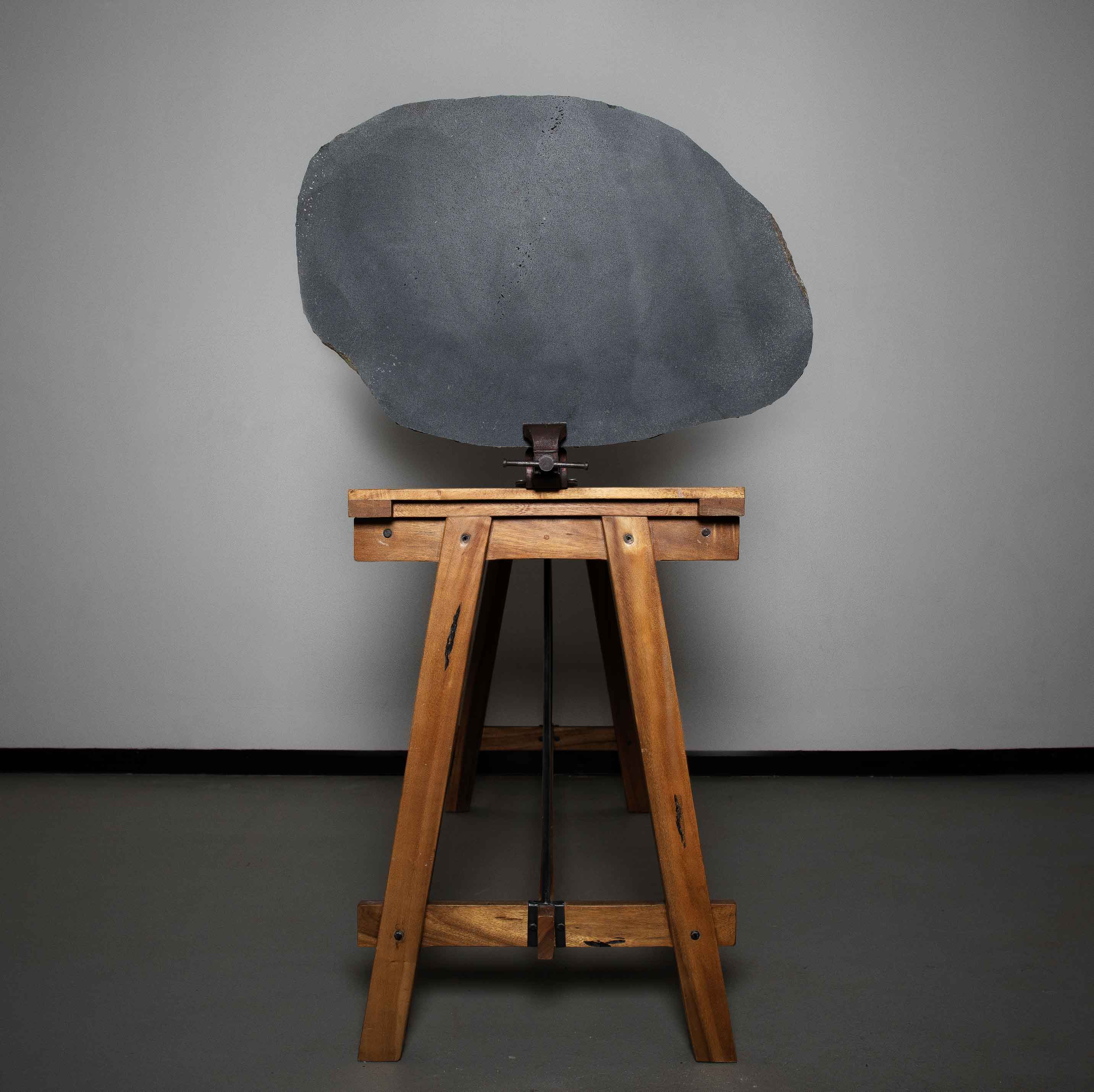 Artisan Exterior | Bluestone Organic Shape Stepping Stones