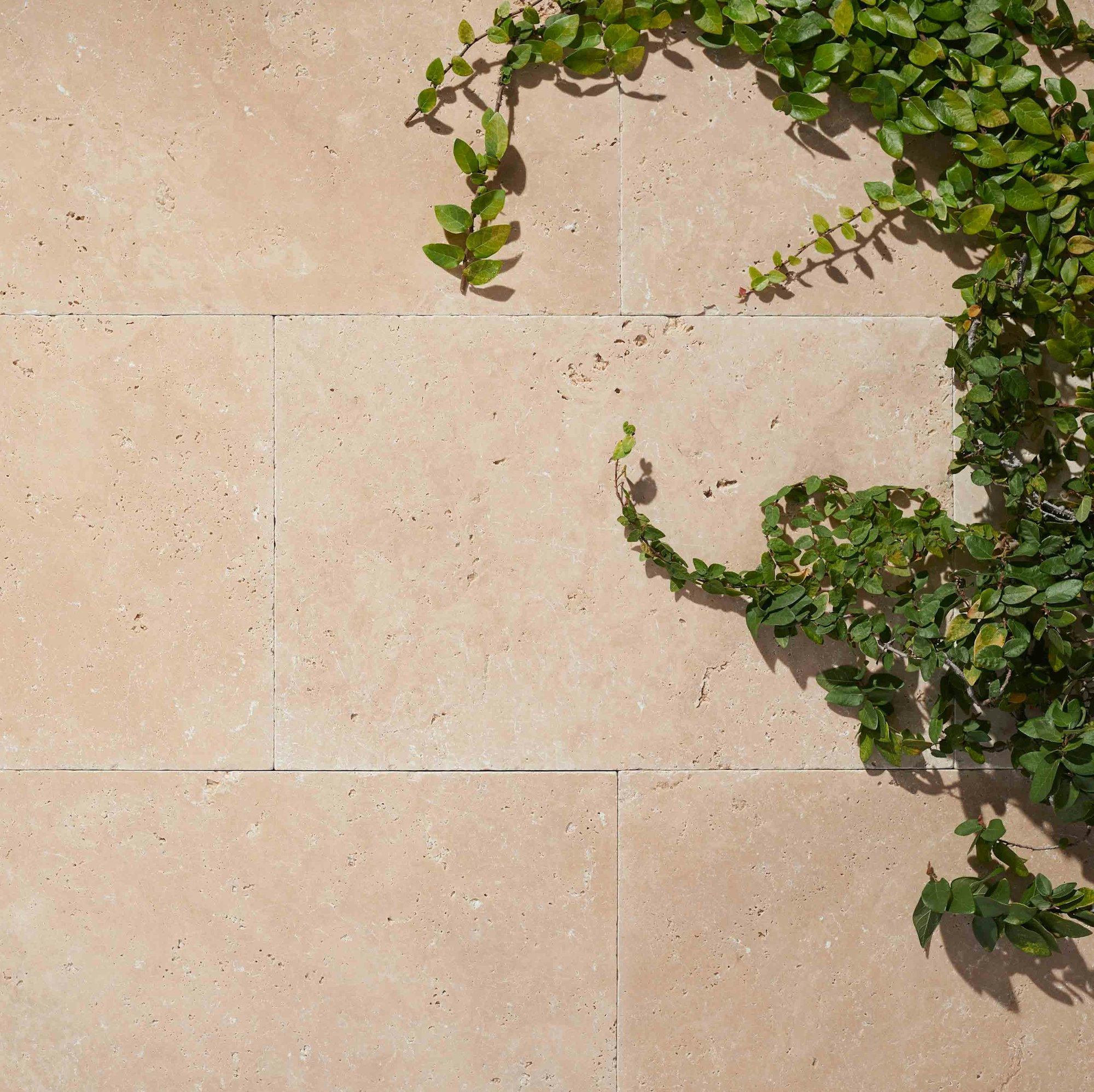 Artisan Exterior | Valo Travertine Pavers, Tiles & Coping